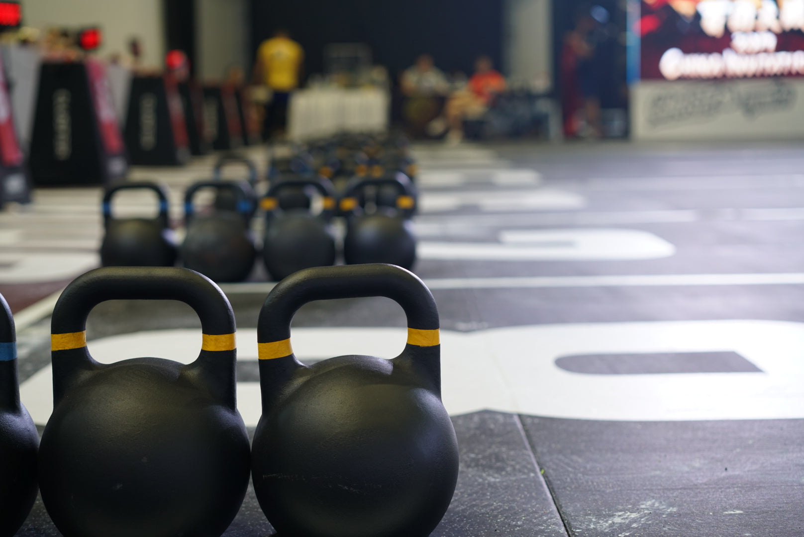 Cluster Equipment New Zealand | High Quality Fitness Gear – Cluster ...